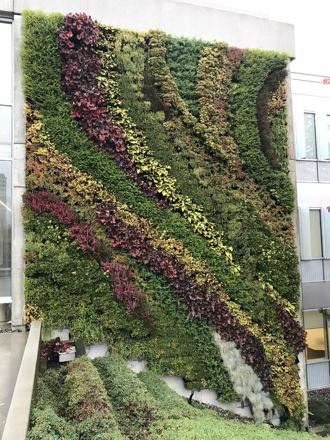 Simon Fraser University Blusson Hall - Burnaby, BC, Canada - GSky Plant ...