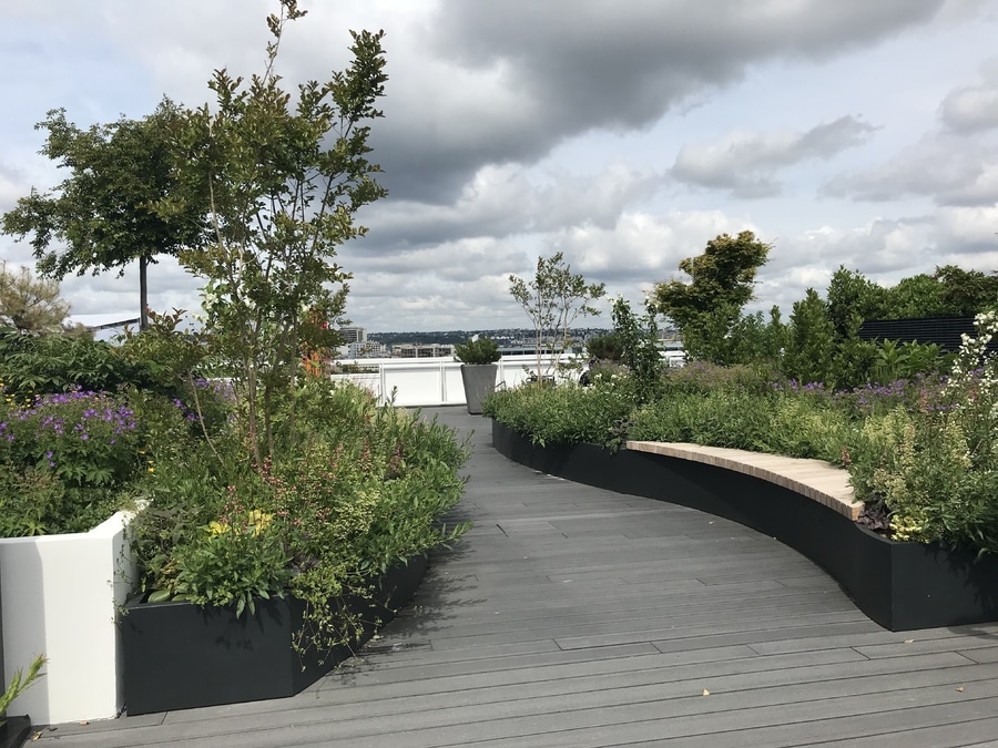 When greening takes over Paris roofs - 49300 Cholet, France - ATECH
