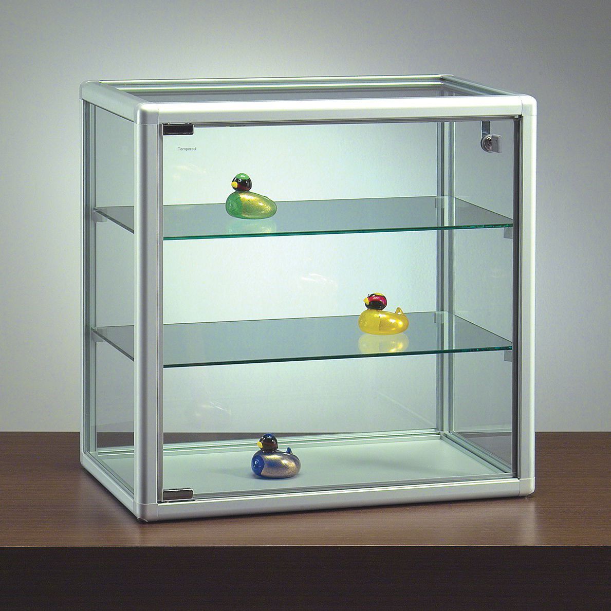 現代風展示ケース - MA51 - Castellani.it srl - 脚上 / ガラス製 / アルミニウム