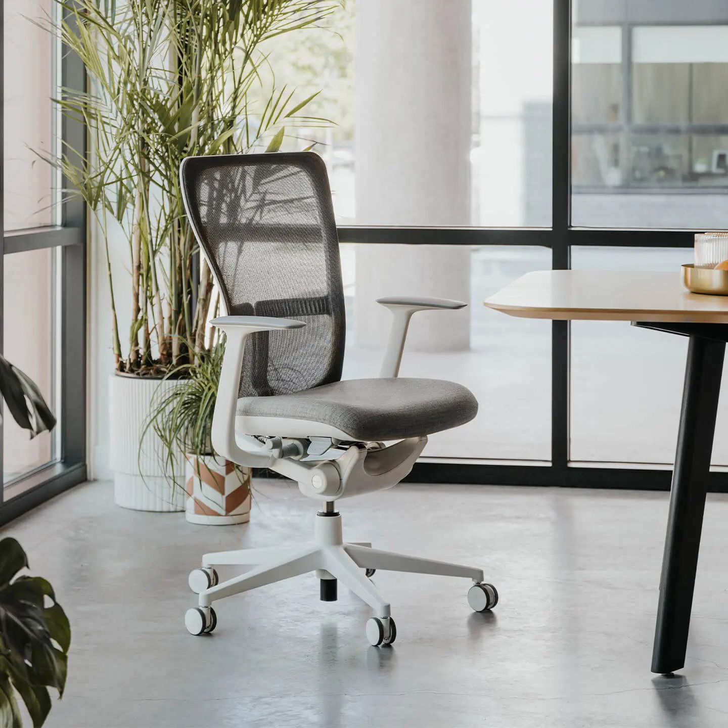 Zody chair store