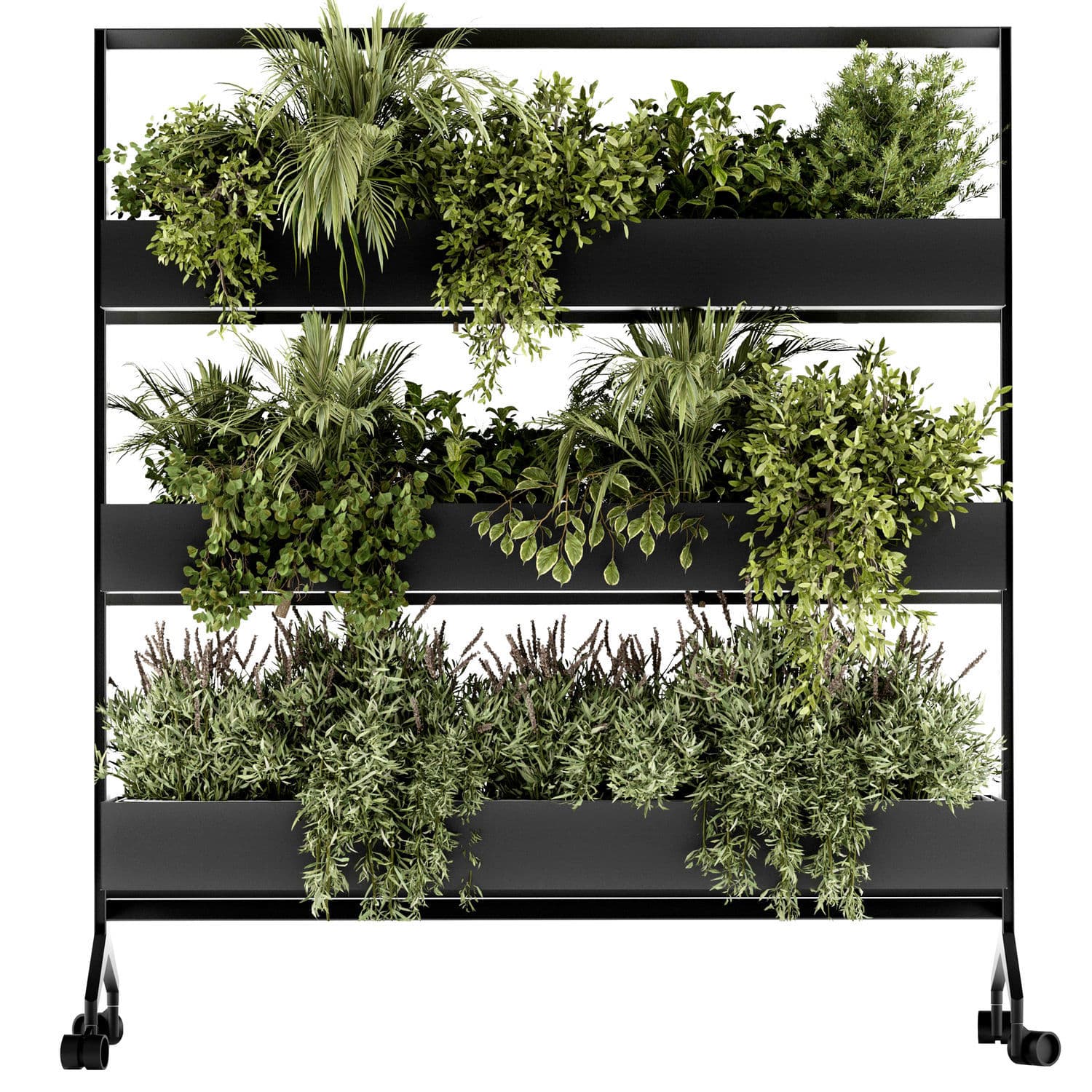 Jardim vertical com rodízios - ALINE WORK / J16 - ALIAS - de plantas naturais / sob medida / natural