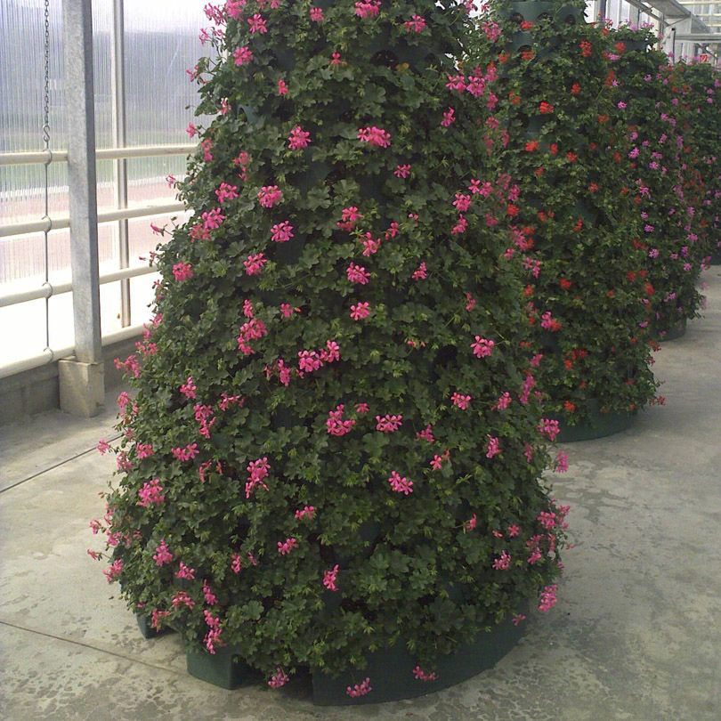 Substrato de cultivo turfa - GO - JIFFY - a granel / em saco