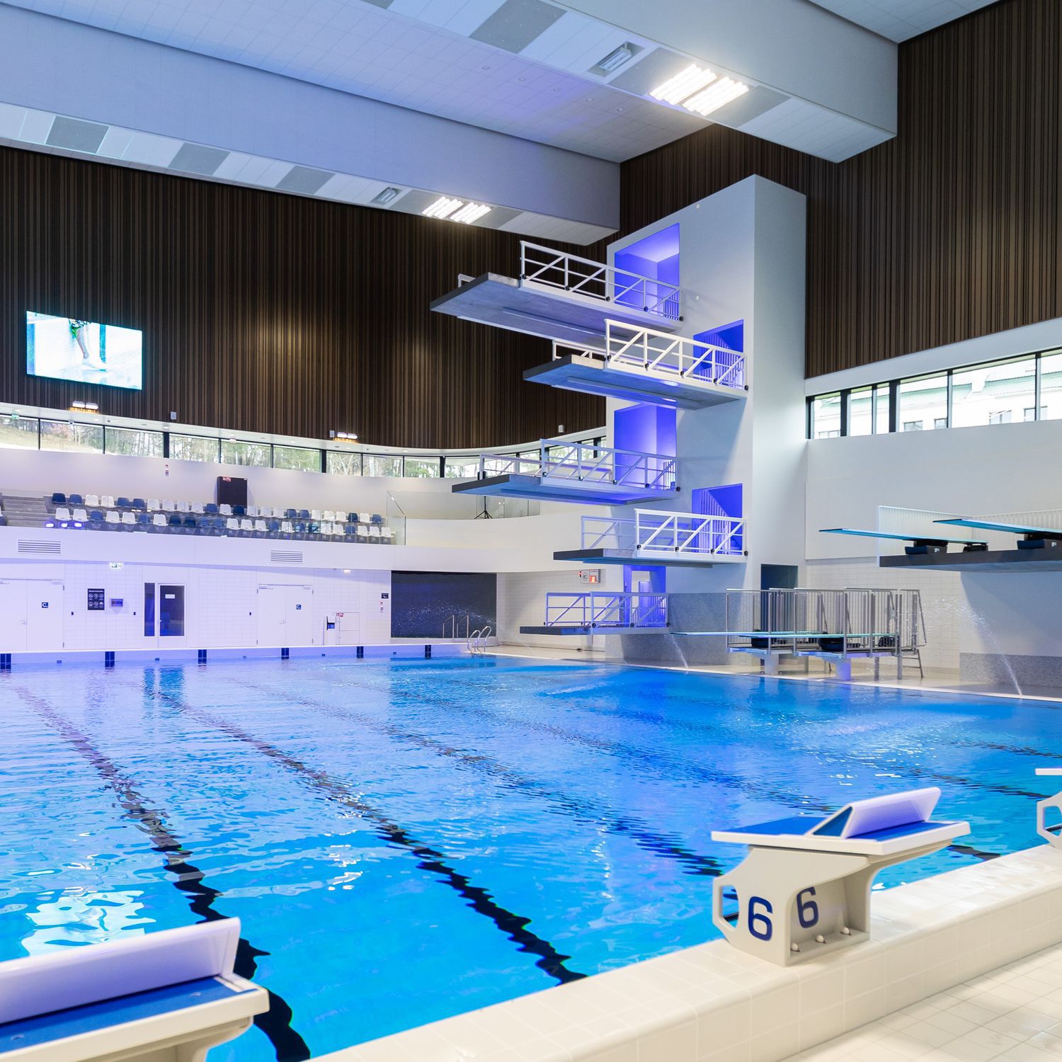 Piscina de competição com trampolim - Myrtha Pools - para ambiente ...